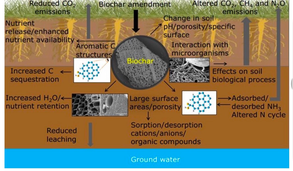 Introduction to "Biochar 101" - Green Terra Alliance